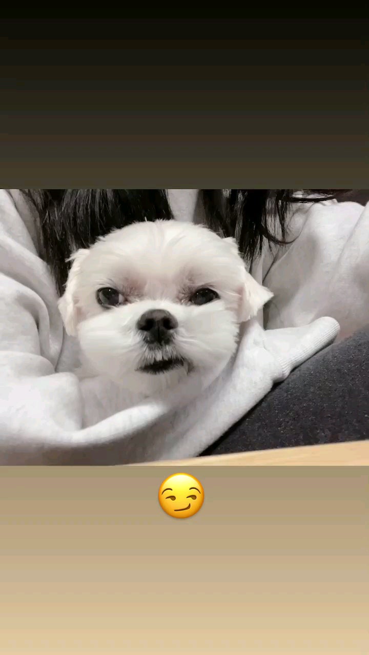 201209 JisooIGストーリーアップデート - TKHUNT