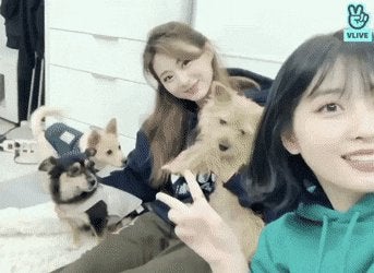 201213-子犬とポーズをとるモモとツウィ - TKHUNT