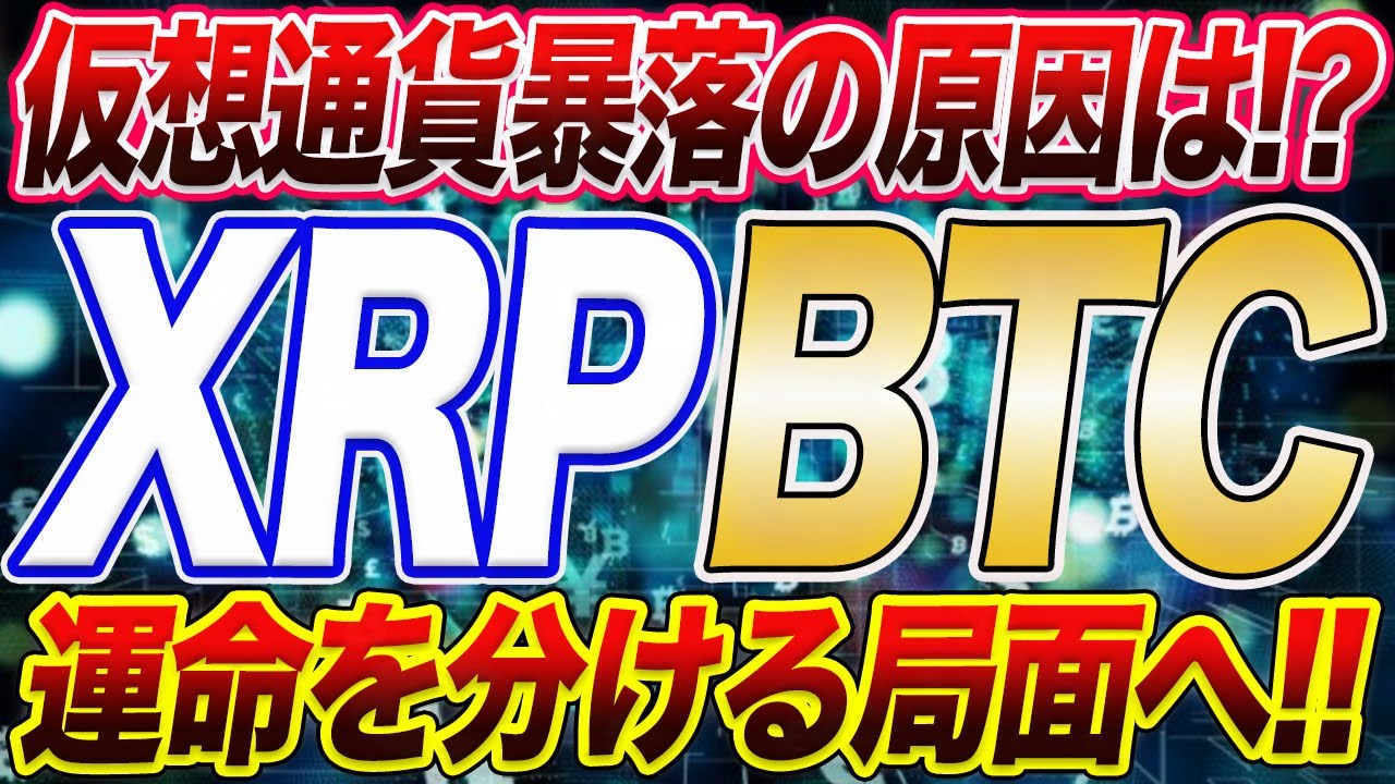【仮想通貨BTC・XRP・ETH】仮想通貨再び大暴落...。今買うのは危険すぎる!?今後の重要ポイントをプロが語ります!!【仮想通貨】【暗号通貨】 - TKHUNT