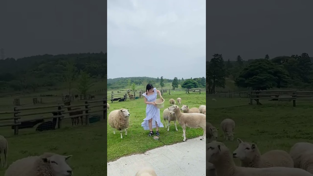 WHITE graph 007 乃木坂46 与田祐希 動画 2021-07-09 - TKHUNT