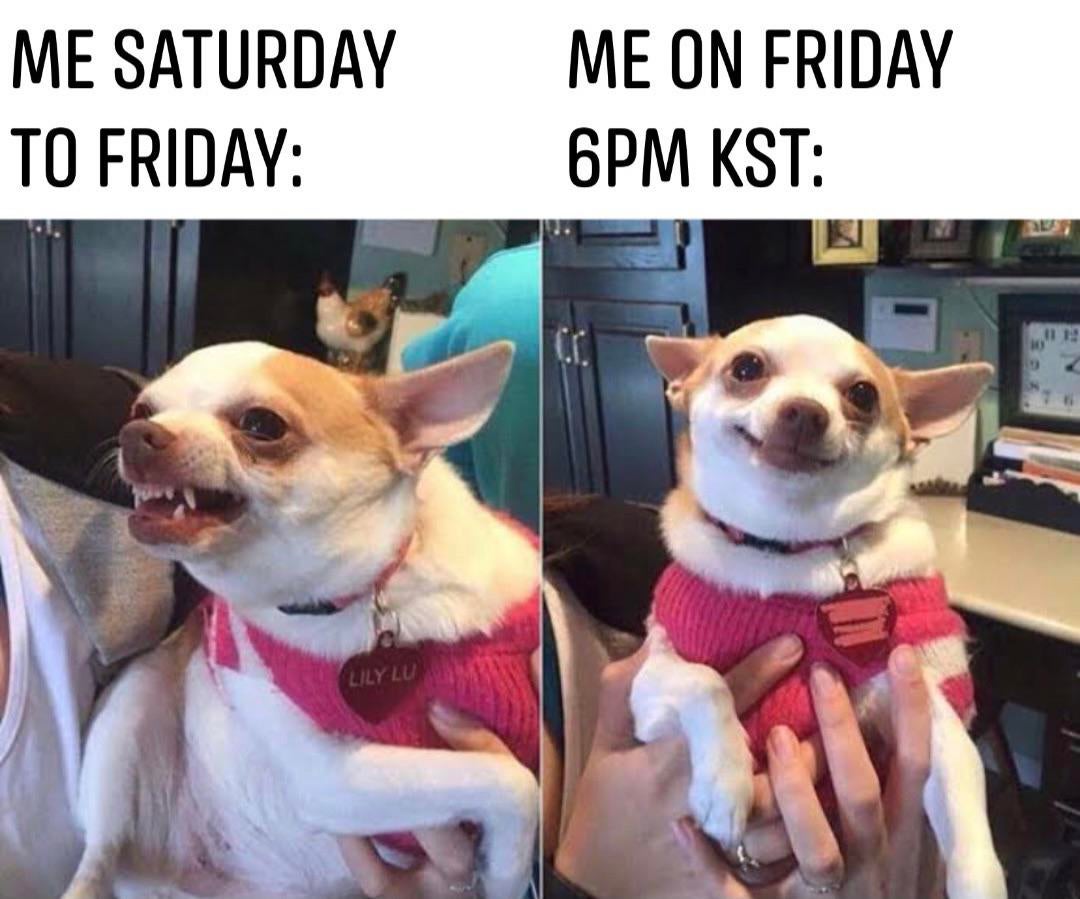 TTTは私にその週の喜びをもたらします - TKHUNT