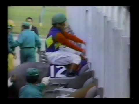 1990 10 天皇賞・秋 ヤエノムテキ - TKHUNT