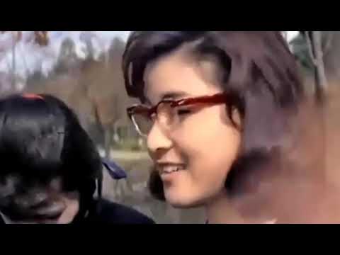 38【青い山脈】吉永小百合 浜田光夫 他 1963年 - TKHUNT