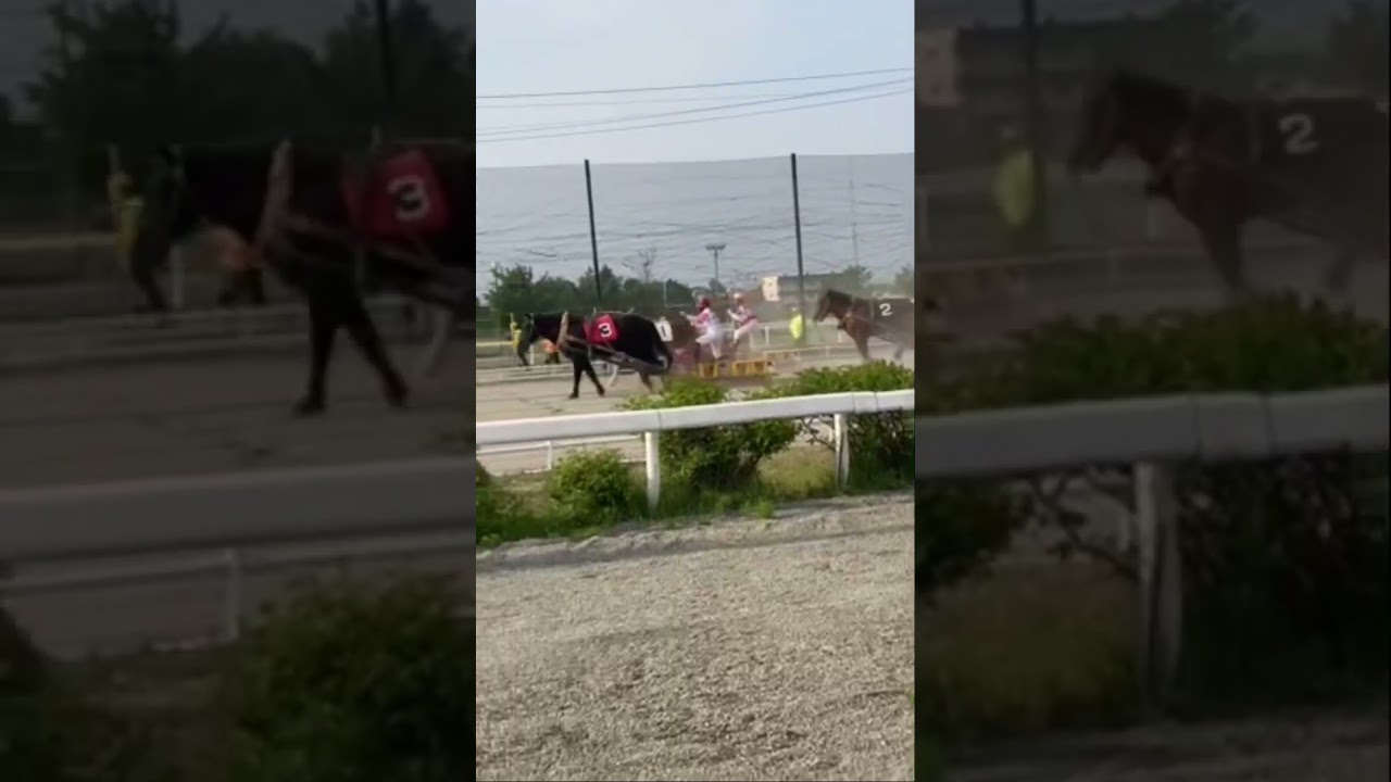 今日のヌーショート。過去のお蔵出し。#shorts #ばんえい競馬 - TKHUNT