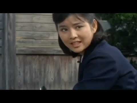 40【⑤ 青い山脈】吉永小百合 浜田光夫 他 1963年 - TKHUNT