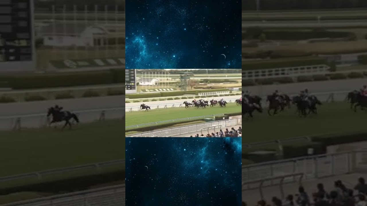 皐月賞二着しかし挽回！菊花賞で一着！ - TKHUNT