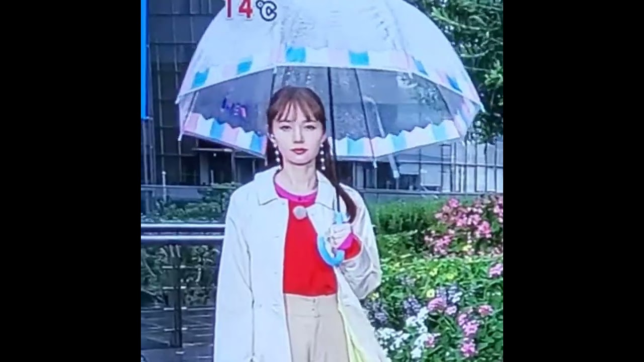 マーシュ彩の傘 #shorts - TKHUNT