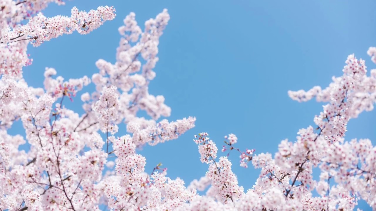 【最遊記RELOAD -ZEROIN-】 PV ピアノ耳コピ - TKHUNT