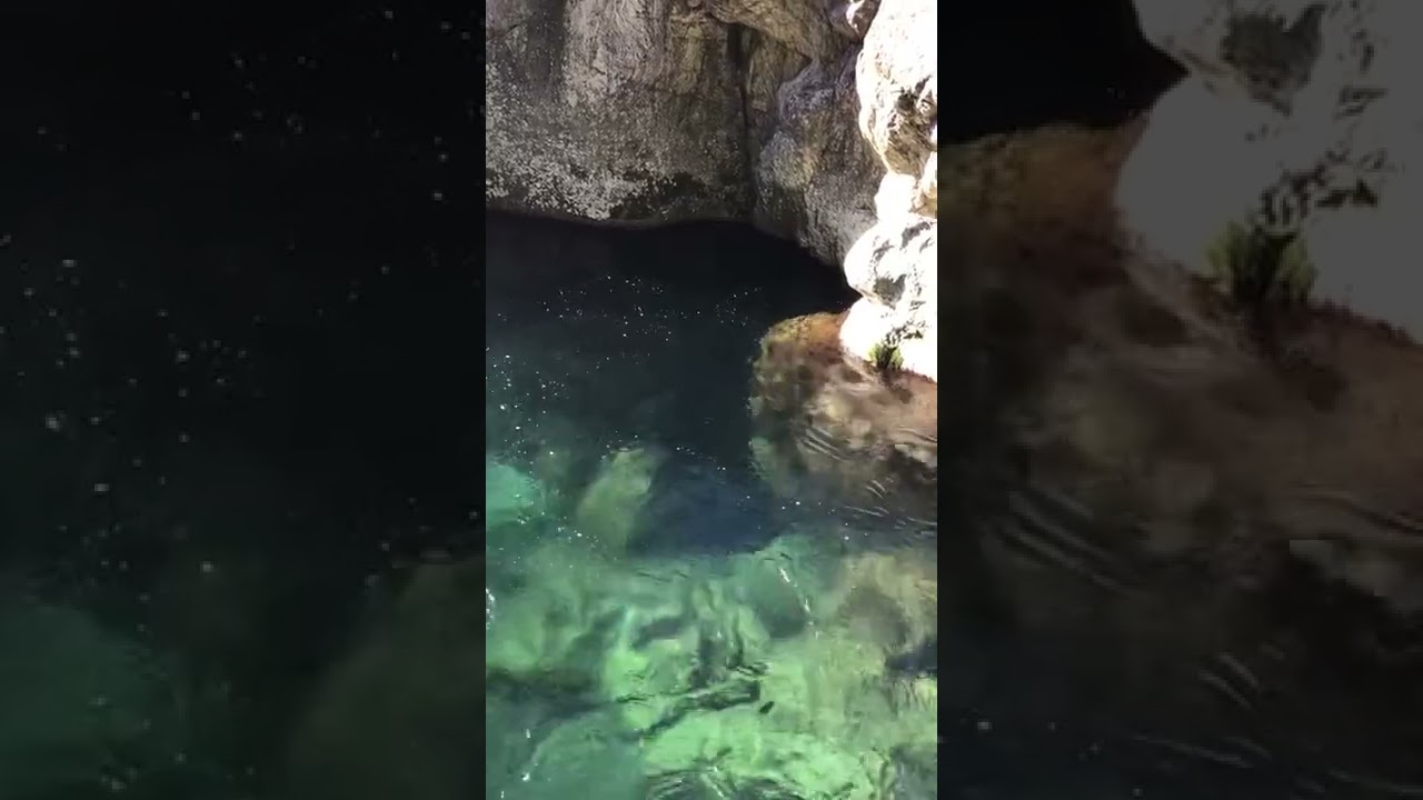 10/19 8:50 板取川のほとりで愛の歌を歌う - TKHUNT