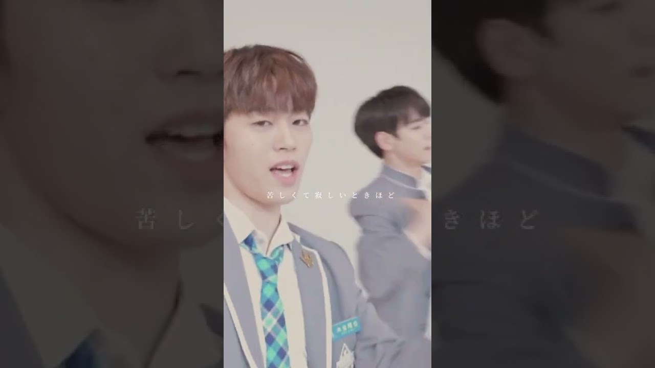 【JO1】木全翔也 ｜胡蝶蘭 - TKHUNT