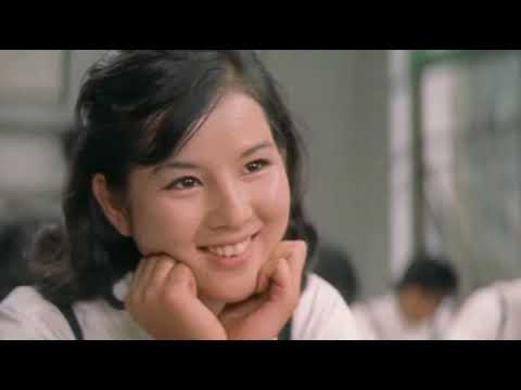 105【若い人】石原裕次郎 吉永小百合 浅丘ルリ子 他 1962年 - TKHUNT