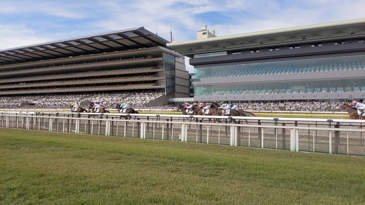 ウマ娘オタクが初めて観たG1レース[天皇賞·秋]の熱気 - TKHUNT