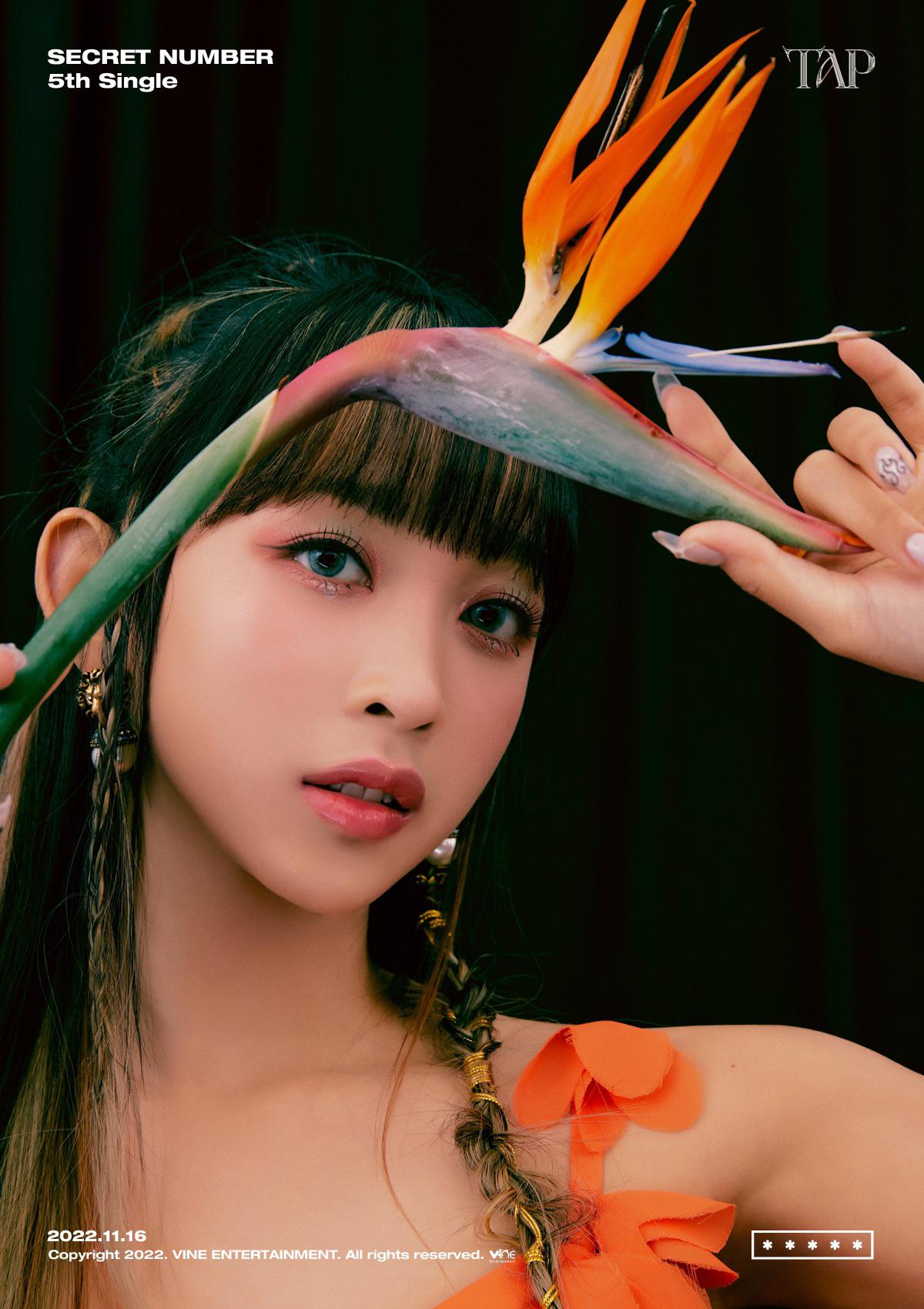 SECRET NUMBER - 5th シングル : TAP (Photo Teaser - Dita) - TKHUNT