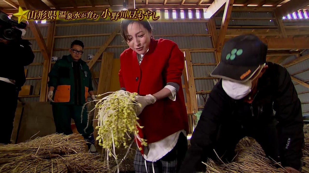 満天☆青空レストラン 12/24放送「山形県 小野川豆もやし」 - TKHUNT