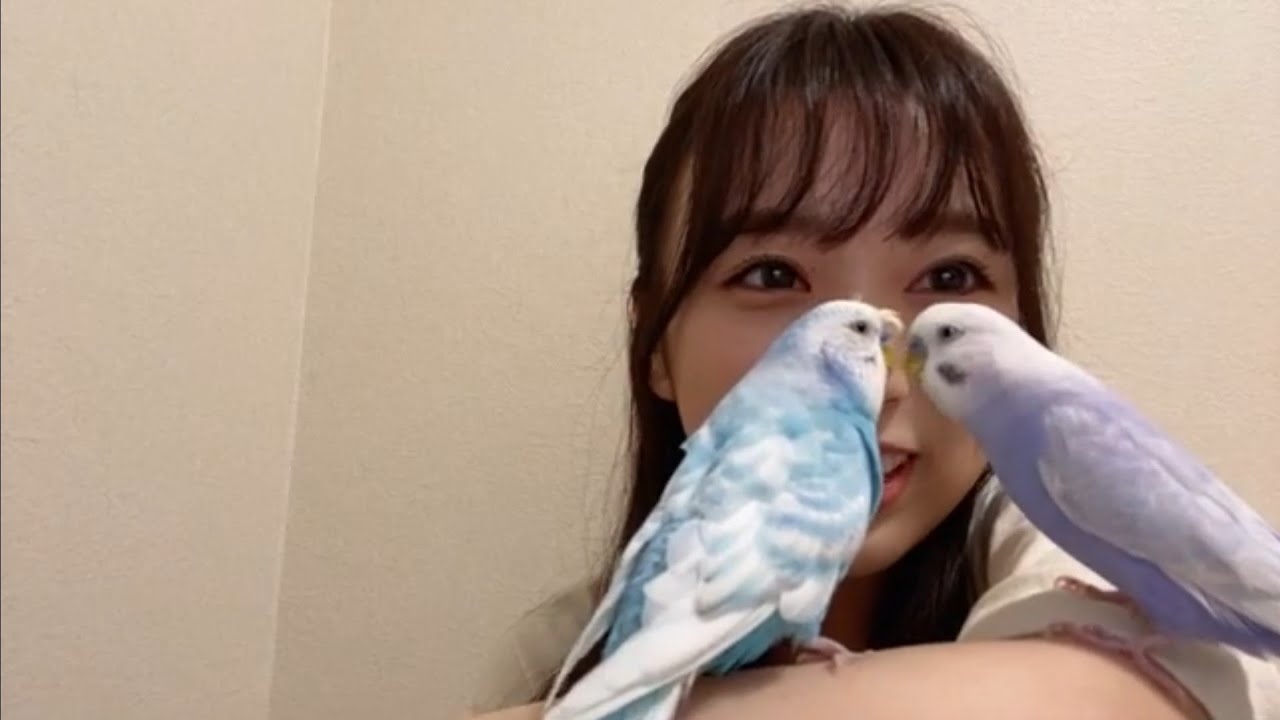 210821 Live SHOWROOM Yabuki Nako (矢吹奈子) (やぶき なこ) (야부키 나코) - TKHUNT