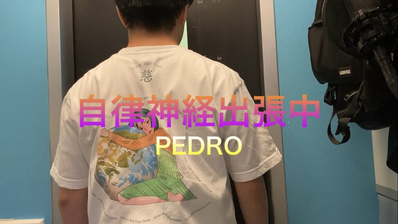 PEDRO-自律神経出張中 covered by Hrich - TKHUNT