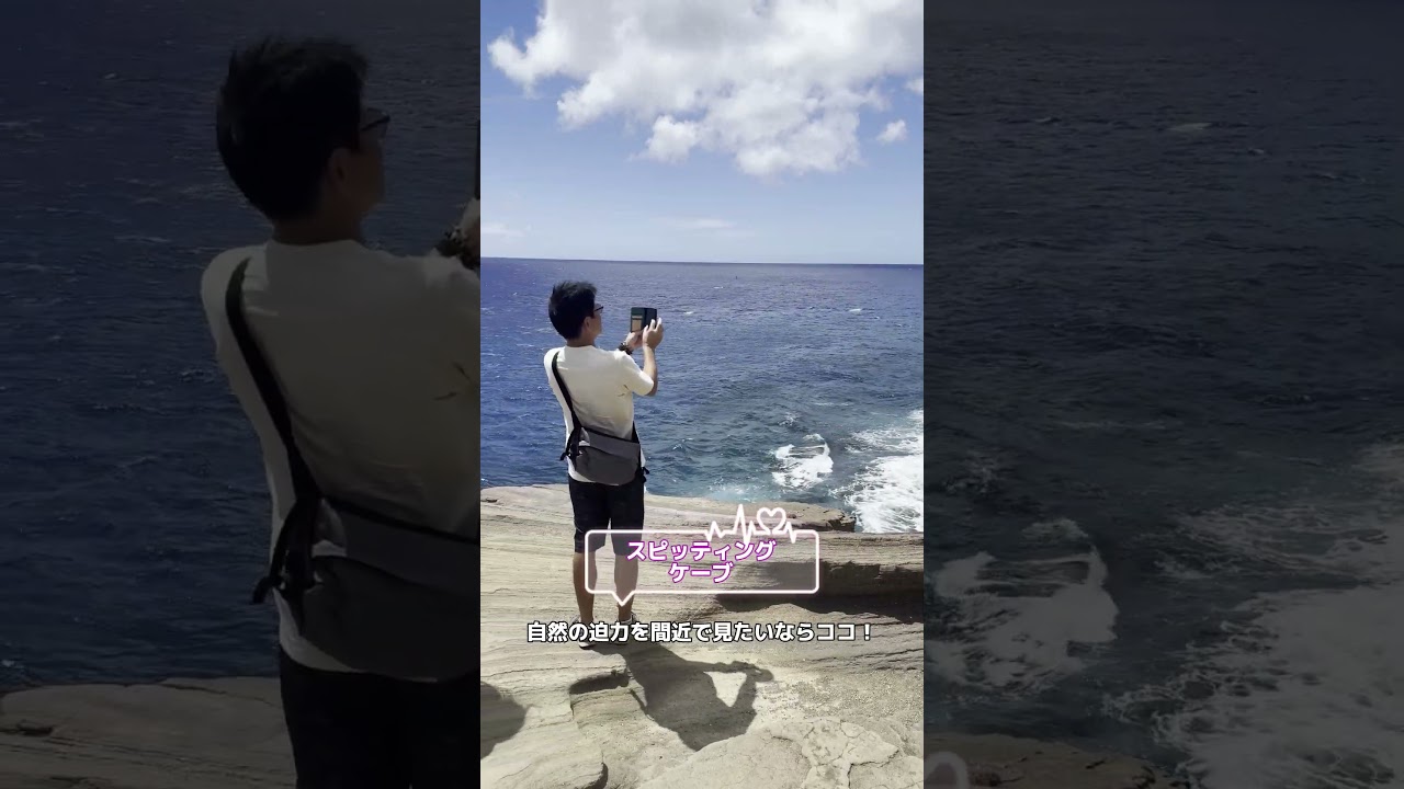 ハワイ どこでもプライベートツアー・9月25日K様 #カワイイハワイツアー #ハワイ #ハワイツアー - TKHUNT