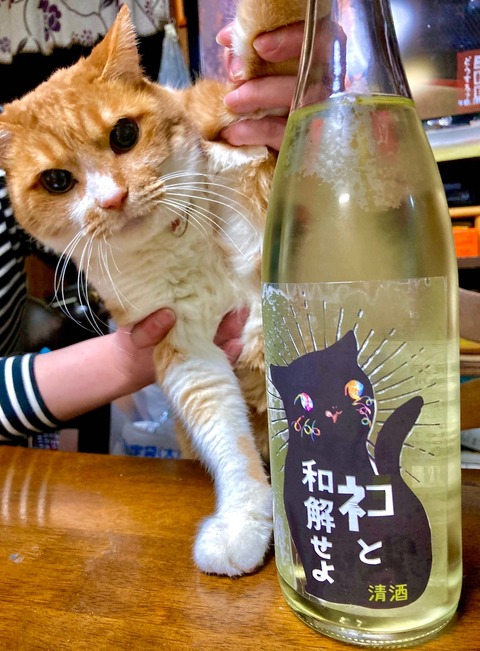 【62枚】思わず吹いたスレ・画像・AA・HP・FLASH等 その247 part1 - TKHUNT