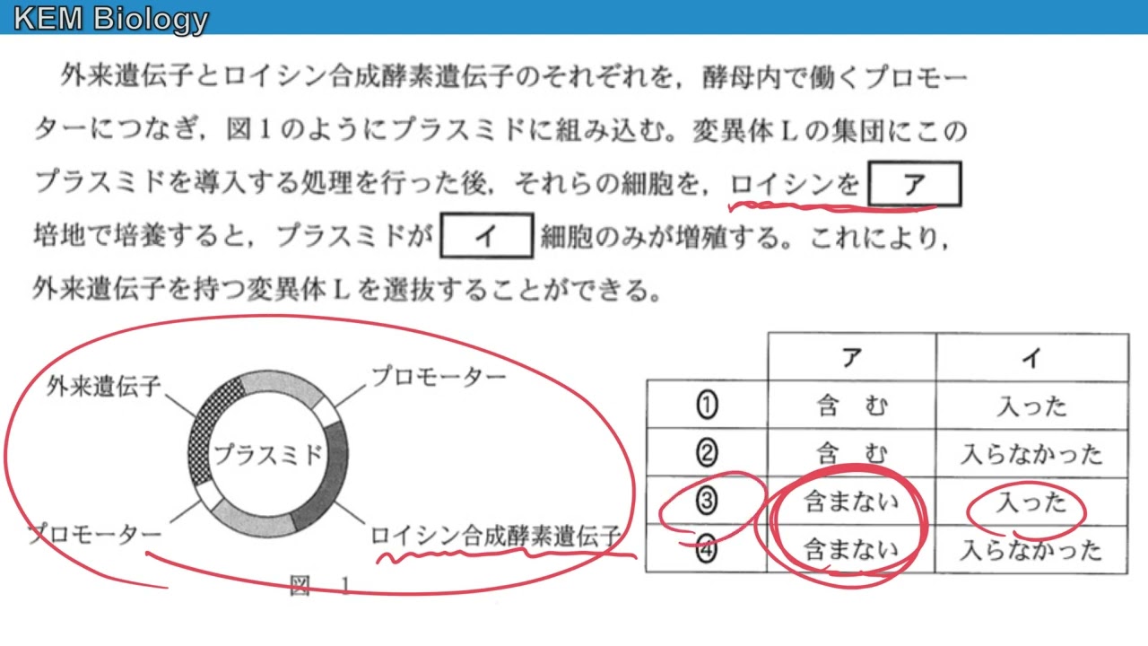 共通テスト2024年度（生物）大問2 - TKHUNT