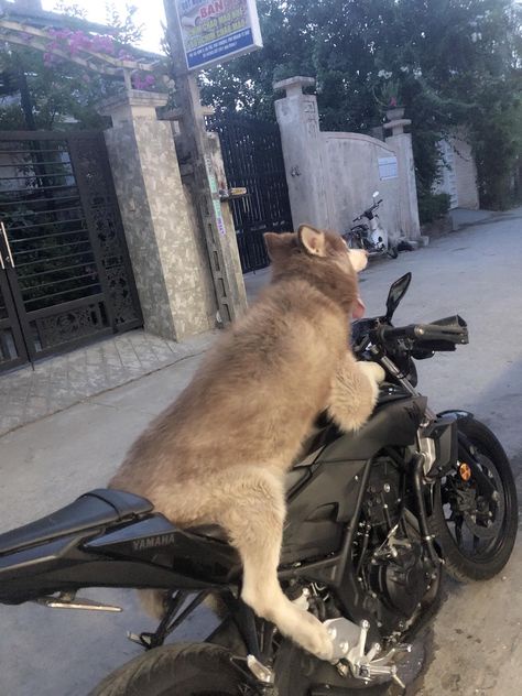 【38枚】思わず吹いたスレ・画像・AA・HP・FLASH等(大砲禁止) その251 part2 - TKHUNT