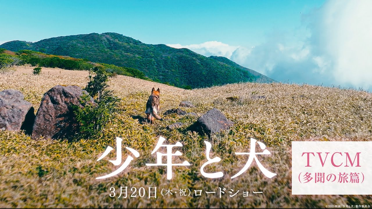 映画『少年と犬』TVCM 多聞の旅篇【3月20日(木・祝)公開】 - TKHUNT