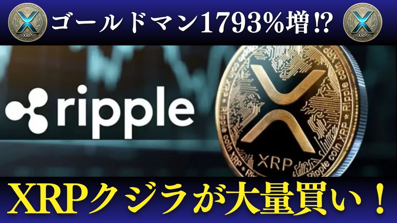 リップル (XRP) は今が仕込み時か⁉︎ ゴールドマン・サックスが1793%増のETF投資！DOGEの3月24日説…本当に爆上げするのか？ 【仮想通貨最新ニュース】 - TKHUNT