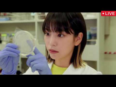 🔴再放送 リラの花咲くけものみち最終回3話【見逃し配信/NHKドラマ/フル】2025年2月15日 LIVE FUL - TKHUNT