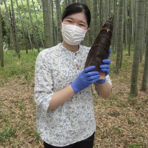 【画像】愛子さま、ご満悦wwwwwwwwww - TKHUNT