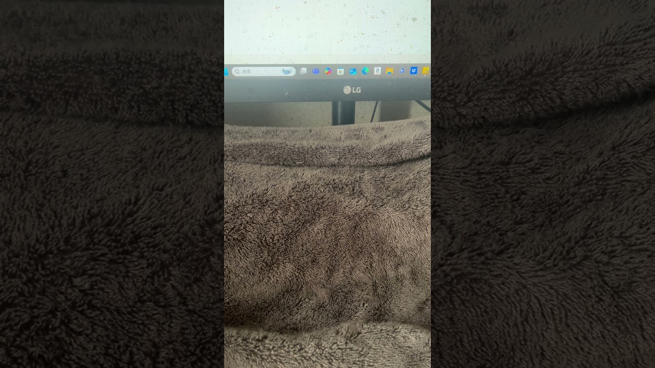 内田真礼に聞きたい15の質問2025 09 17 思念体抜き取りからの理解フォース - TKHUNT